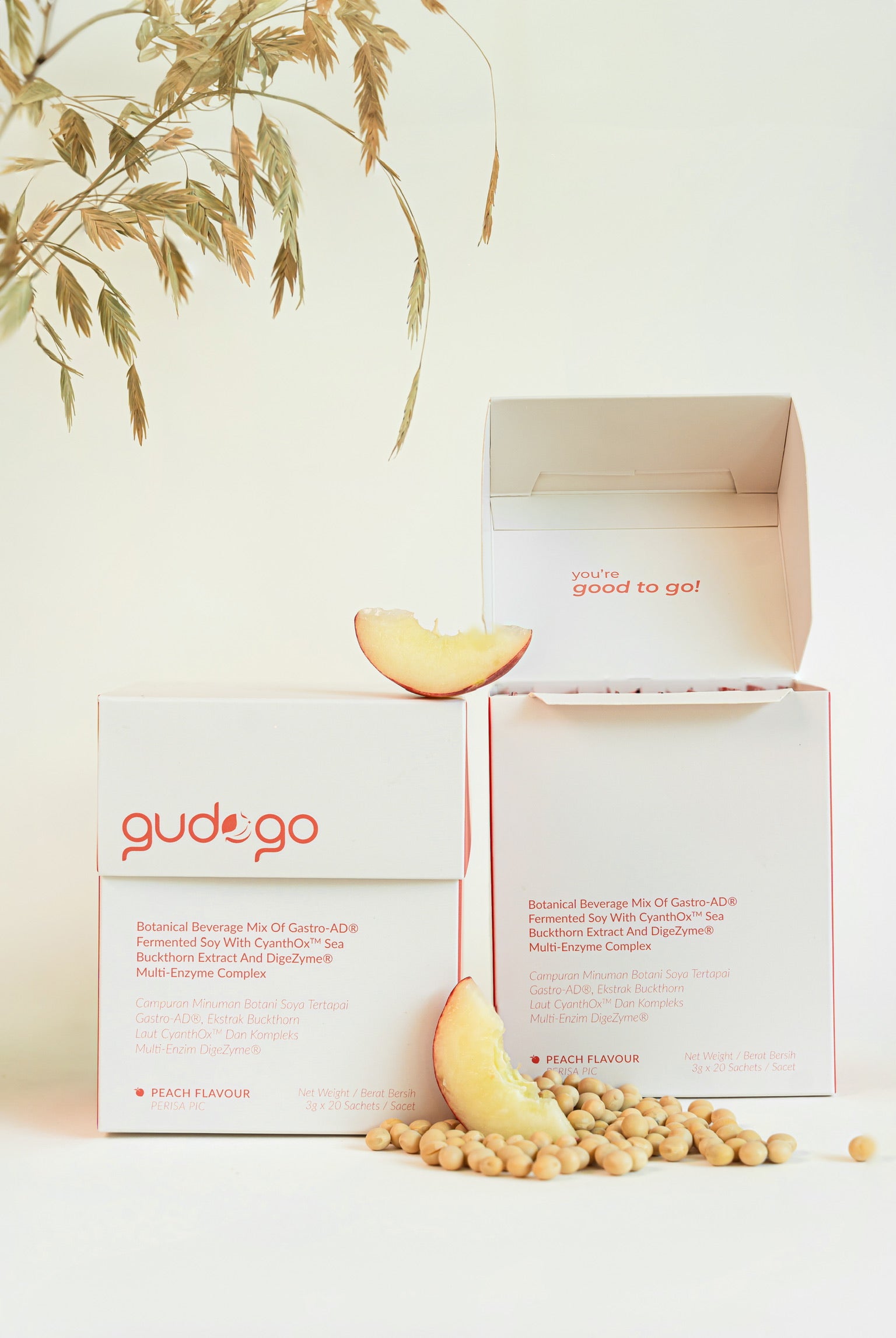 Gudogo